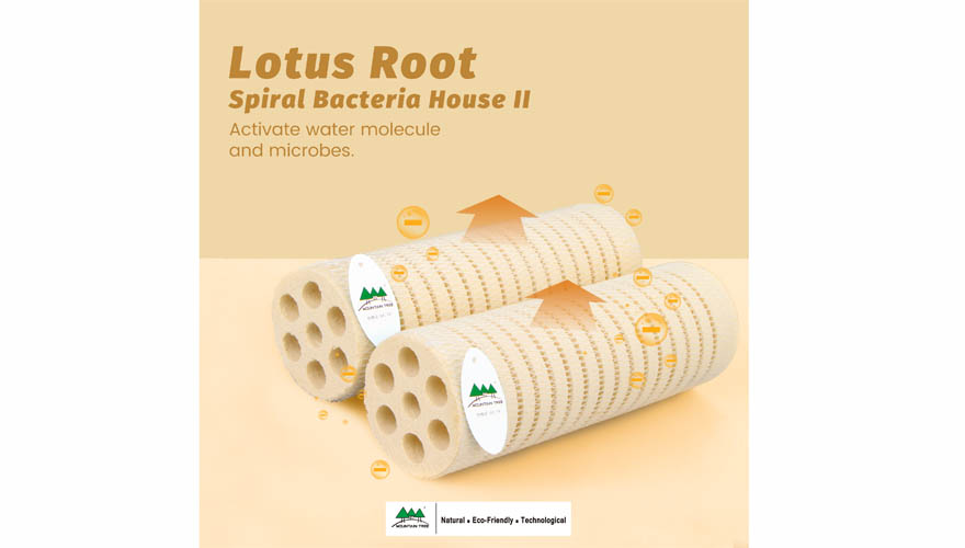 Lotus Root Bacteria House II | Mountain Tree