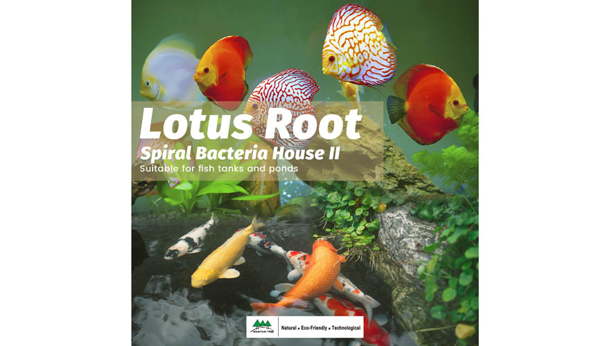Lotus Root Bacteria House II | Mountain Tree