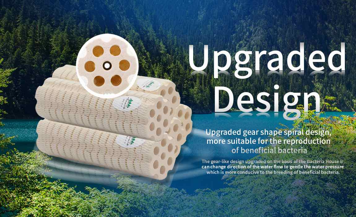 Lotus Root Bacteria House III | Mountain Tree