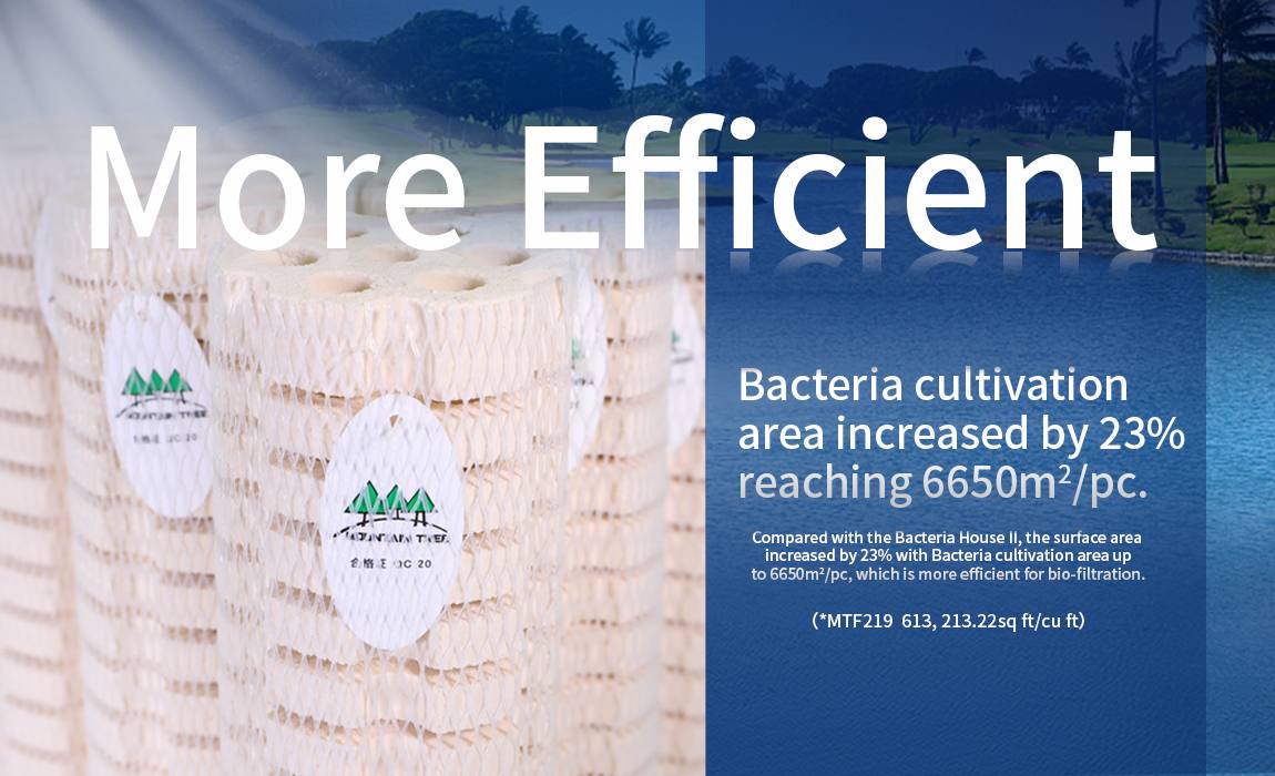 Lotus Root Bacteria House III | Mountain Tree