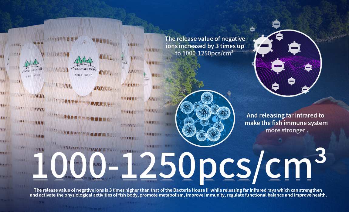 Lotus Root Bacteria House III | Mountain Tree