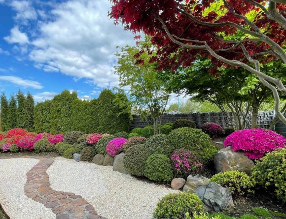 Koi Farm of Mr. Essel in Germany | Mountain Tree
