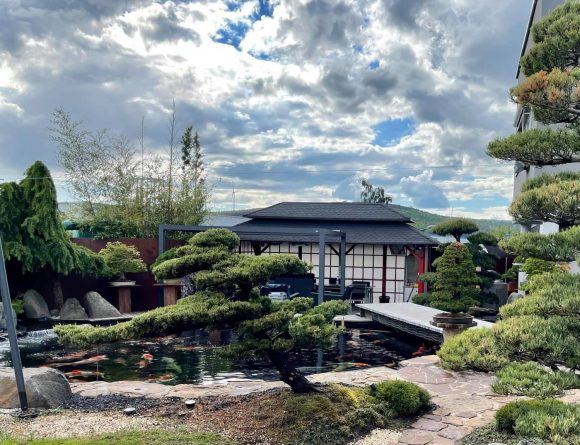 Koi Farm of Mr. Essel in Germany | Mountain Tree